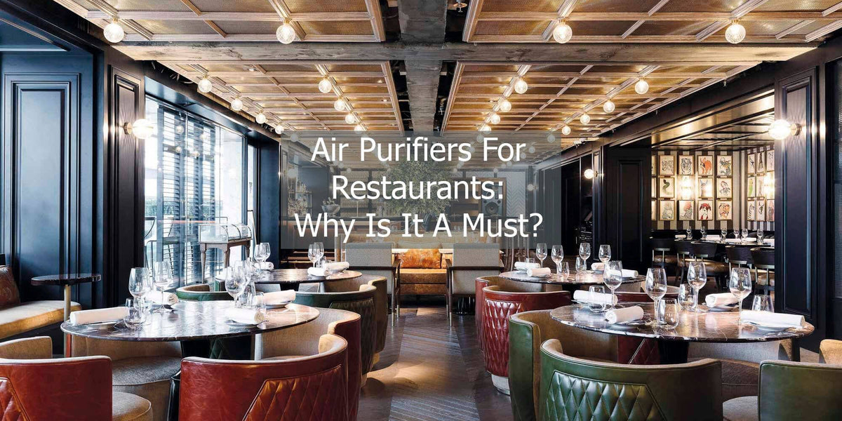 Air Purifiers For Restaurants: Why Is It A Must – VizoCare